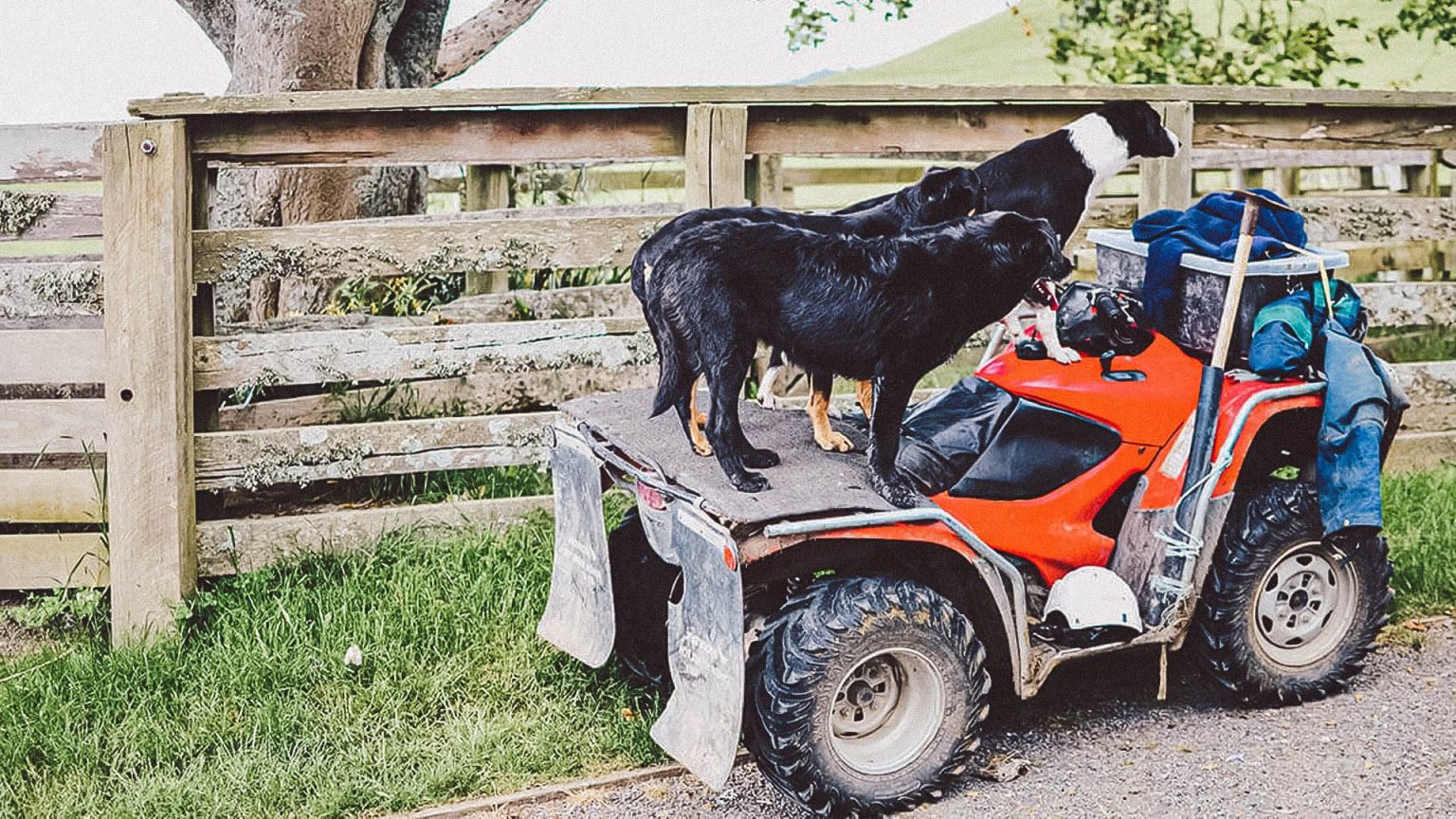 Bushmate | Tyreright